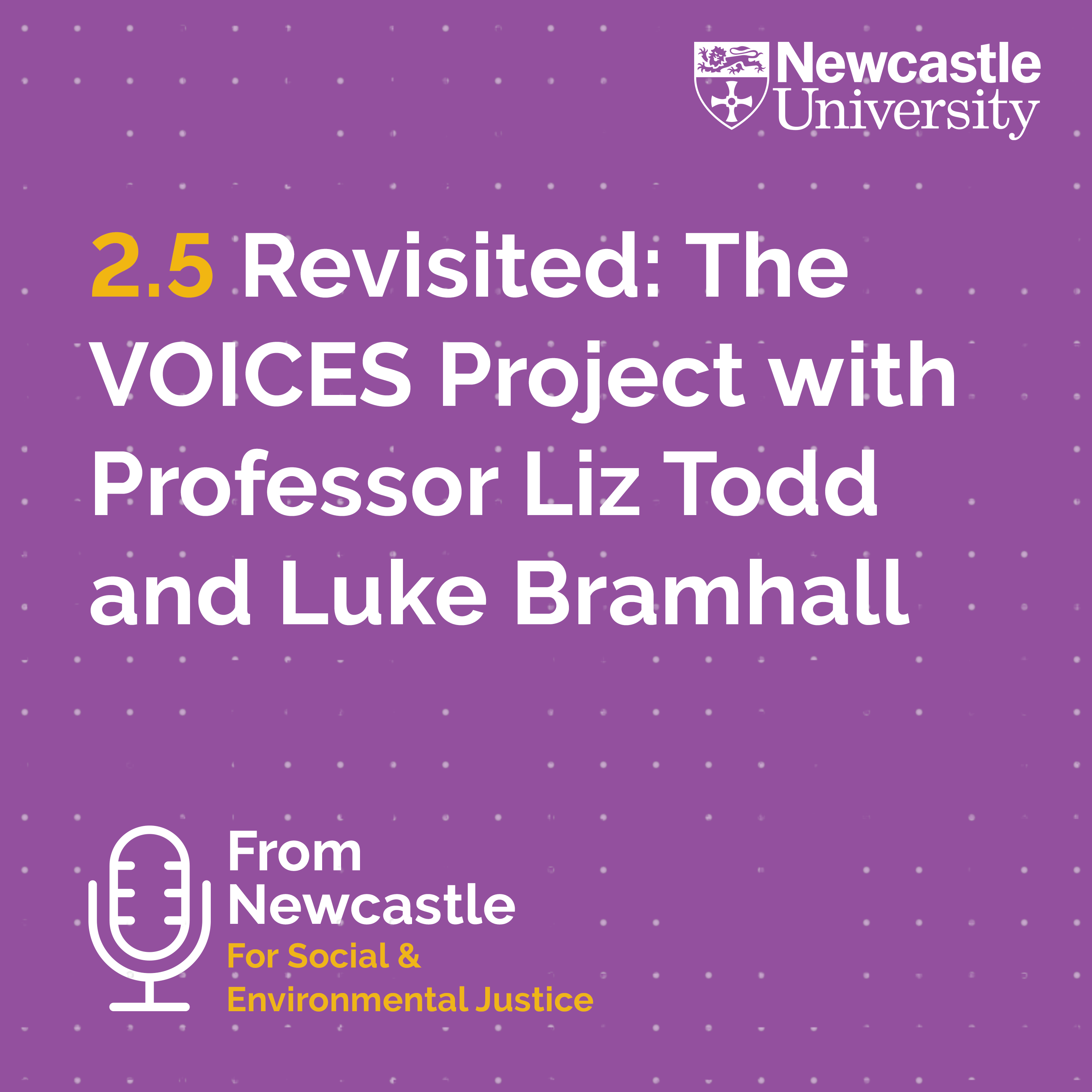 2.5 Revisited: The VOICES Project with Professor Liz Todd and Luke ...